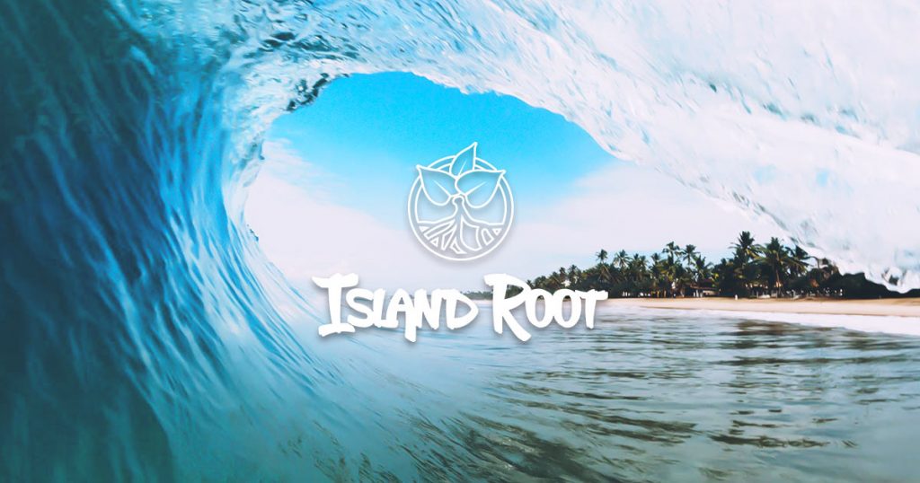 3 Kava Shells Island Root Video - Island Root Kava Bar
